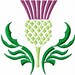Thistle Embroidery - Machine Embroidery Design - Etsy