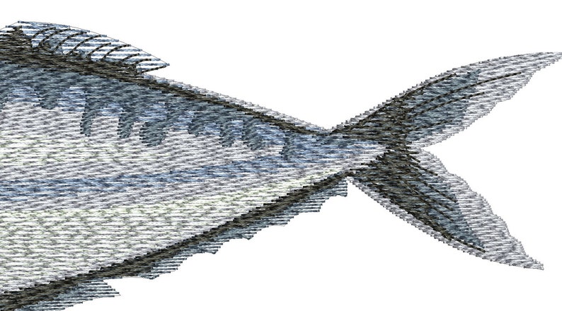 Mackerel Fish Machine Embroidery Design Instant Download | Etsy