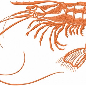 Realistic Shrimp Machine Embroidery Design - Etsy