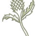 Thistle Branchembroidery Machine Embroidery Design - Etsy