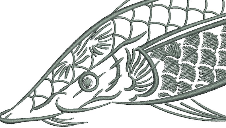Sturgeon Machine Embroidery Designs Instantly Download Dense - Etsy