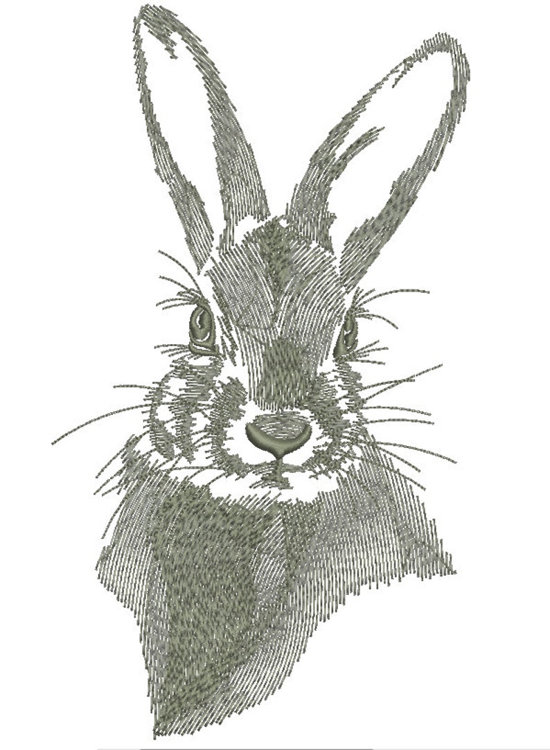 Rabbit Wild Hare Machine Embroidery Design Tested - Etsy