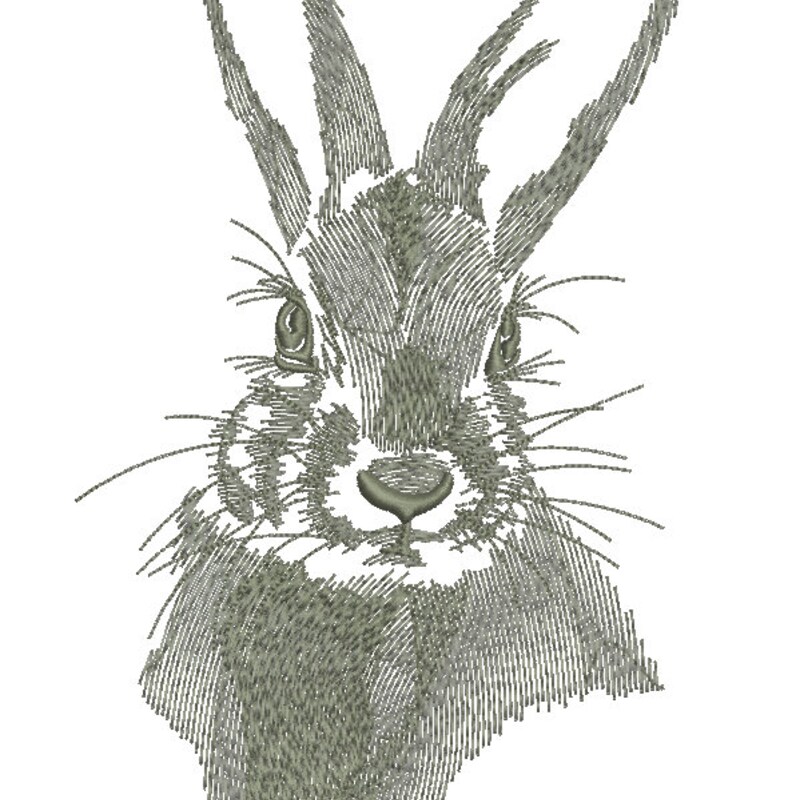 Rabbit Embroidery - Etsy