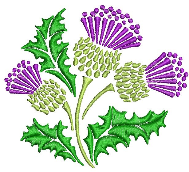 The Thistle Embroidery Machine Embroidery Design - Etsy UK