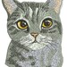 Big Gray Cat Design Machine Embroidery Designs Tested 4 Sizes - Etsy