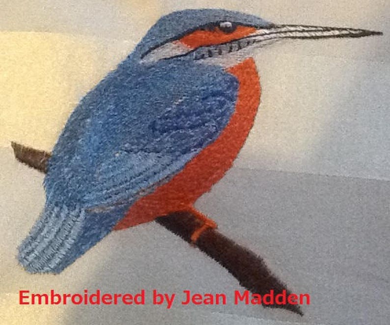 Kingfisher Machine Embroidery Design Tested - Etsy