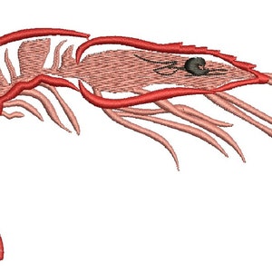 Shrimp Machine Embroidery Design - Etsy