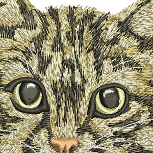 Cat Machine Embroidery Designs Tested - Etsy