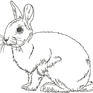 Rabbit Embroidery, Low Stitch Count - Machine Embroidery Designs - Etsy Rabbit Embroidery, Low Stitch Count - Machine Embroidery Designs - Etsy