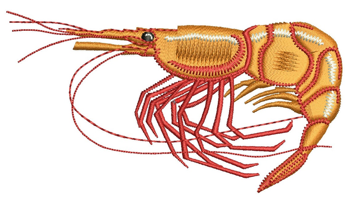 Shrimp Machine Embroidery Design | Etsy
