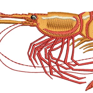 Shrimp Machine Embroidery Design - Etsy