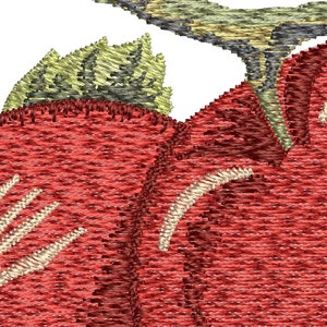 Apples Embroidery - Machine Embroidery Design - Etsy