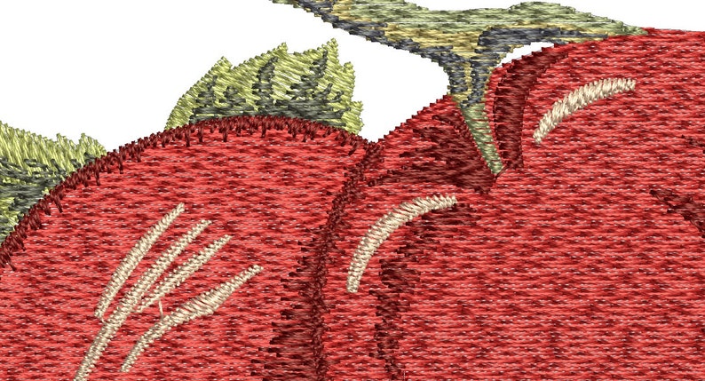 Apples Embroidery Machine Embroidery Design - Etsy