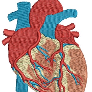 Realistic Human Heart Machine Embroidery Design / Instant Download - Etsy