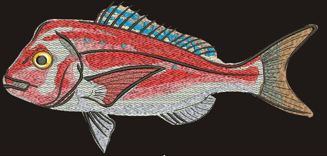 Red Snapper Fish Embroidery Design Instant Download Digital - Etsy