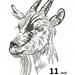Goat Head Machine Embroidery Design Tested - Etsy