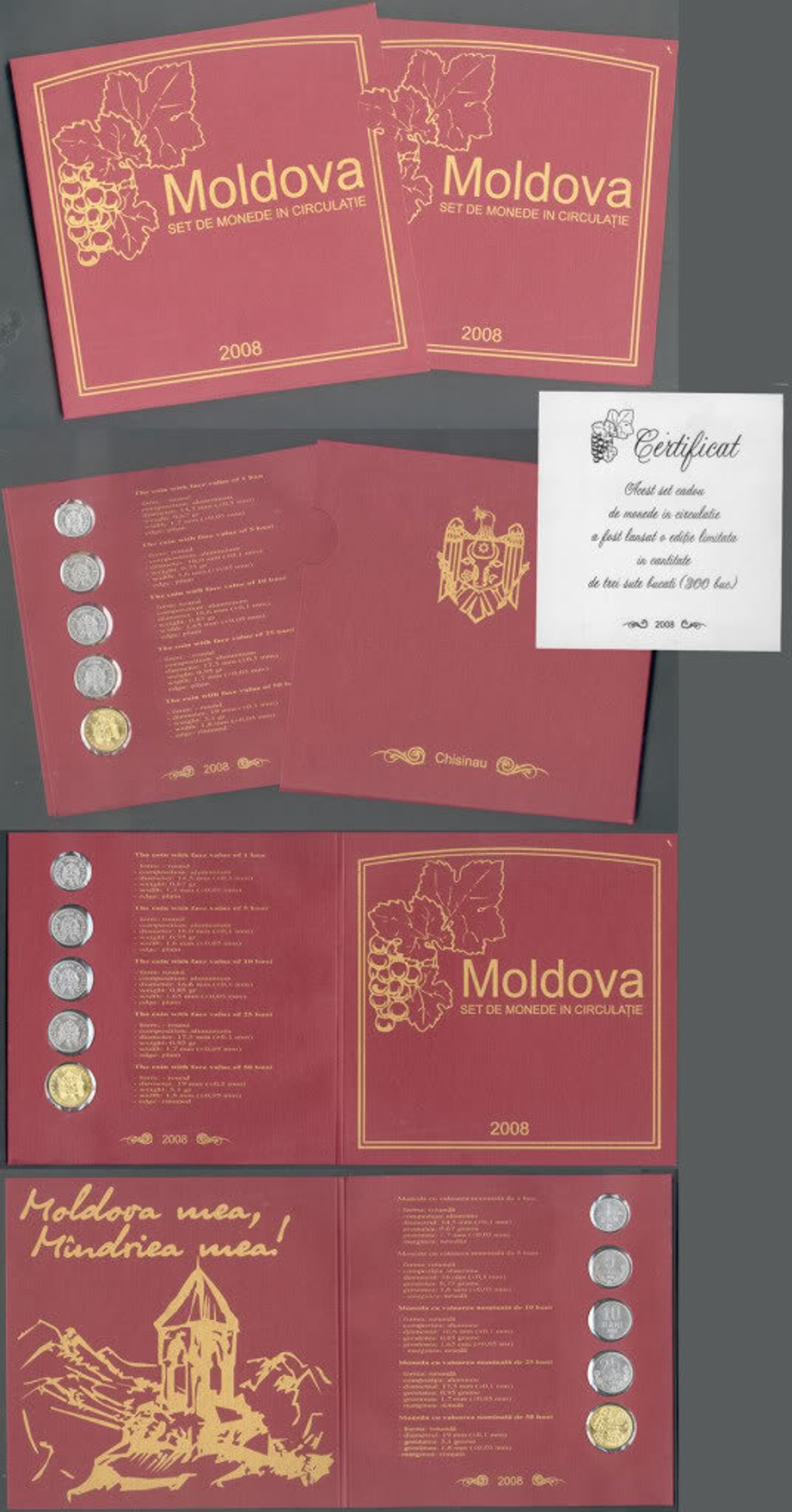 Set of Circulation Coins of Moldova 2008 | Etsy