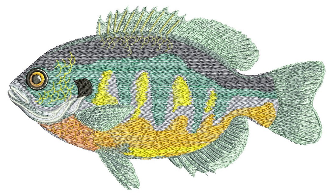 Bluegill Sunfish Machine Embroidery Design Instant Download - Etsy