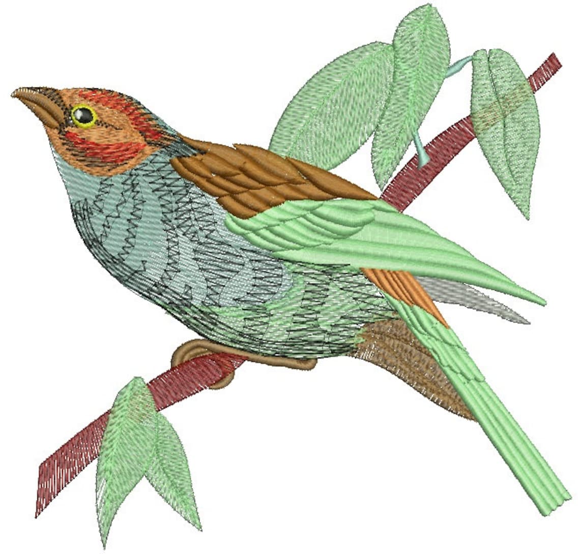 Bird Machine Embroidery Design Tested - Etsy