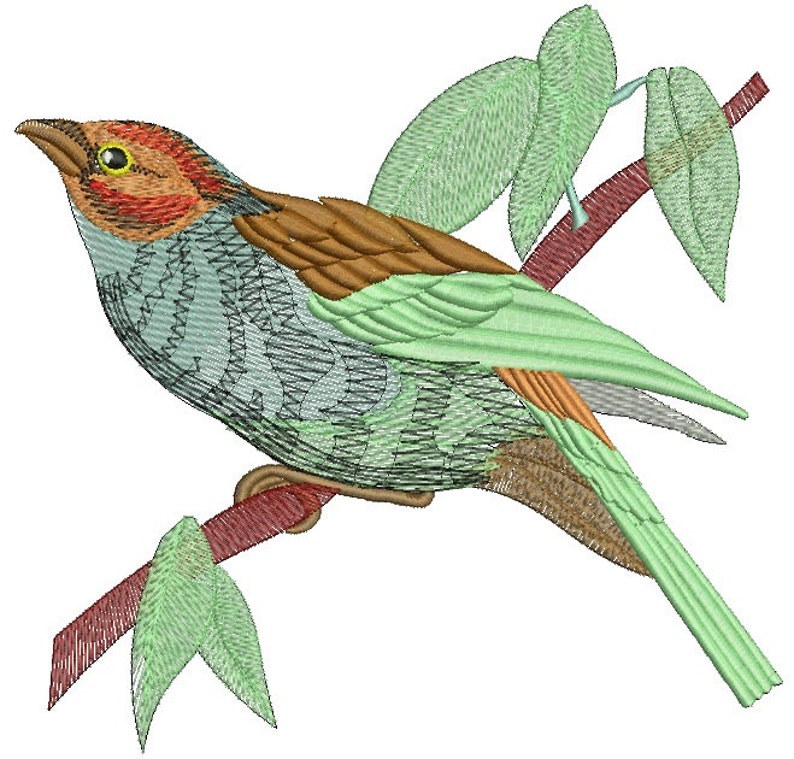 Bird Machine Embroidery Design tested | Etsy