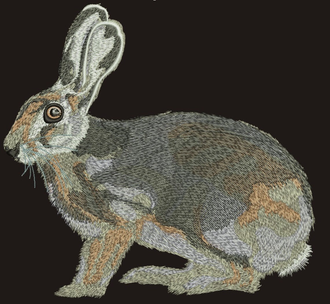 Hare Rabbit Embroidery Machine Embroidery Designs Design is - Etsy