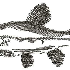 Tench Fish Machine Embroidery Design Instant Download - Etsy