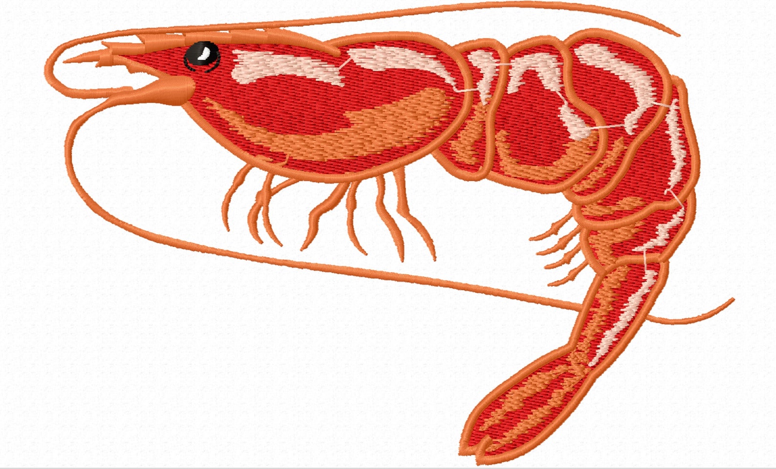 Realistic Shrimp Machine Embroidery Design - Etsy