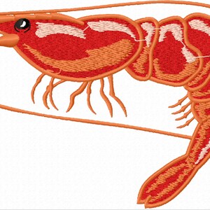 Realistic Shrimp Machine Embroidery Design - Etsy
