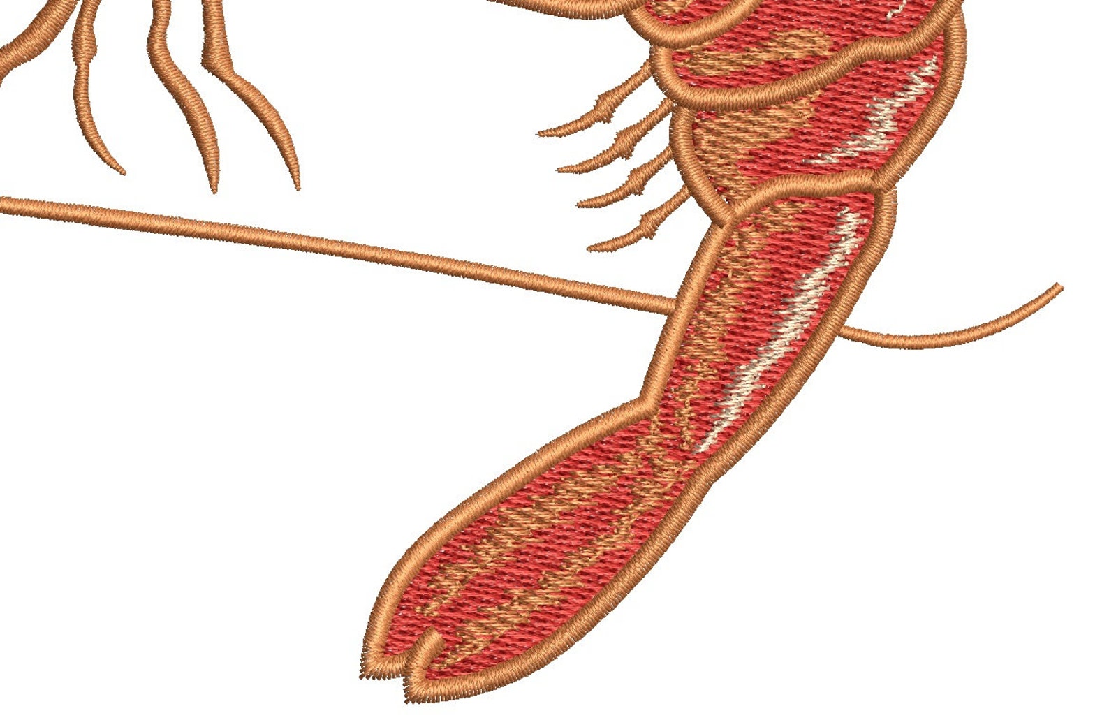 Realistic Shrimp Machine Embroidery Design - Etsy