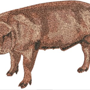 Duroc Pig Machine Embroidery Designs INSTANT DOWNLOAD - Etsy