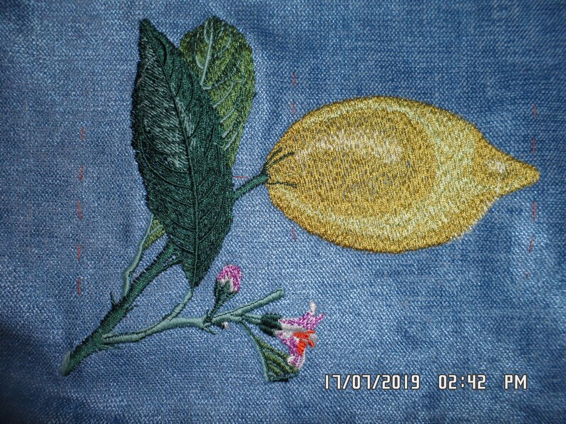 Lemon Embroidery Machine Embroidery Design Tested - Etsy