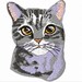 Big Gray Cat Design Machine Embroidery Designs Tested 4 Sizes - Etsy