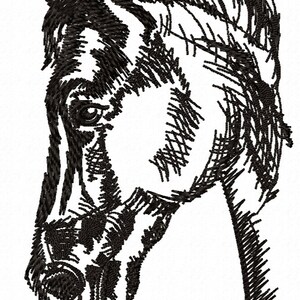 A Horse's Head Machine Embroidery Design - - Etsy