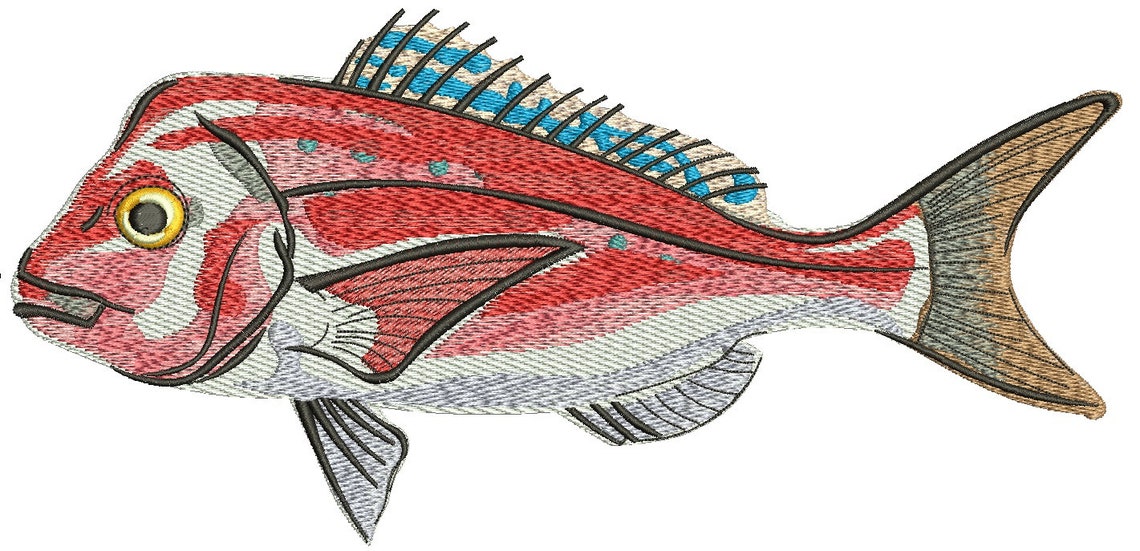 Red Snapper Fish Embroidery Design Instant Download Digital | Etsy
