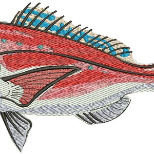 Red Snapper Fish Embroidery Design - Instant Download Digital File ...
