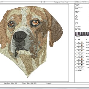 Portuguese Pointer Machine Embroidery Design - Etsy