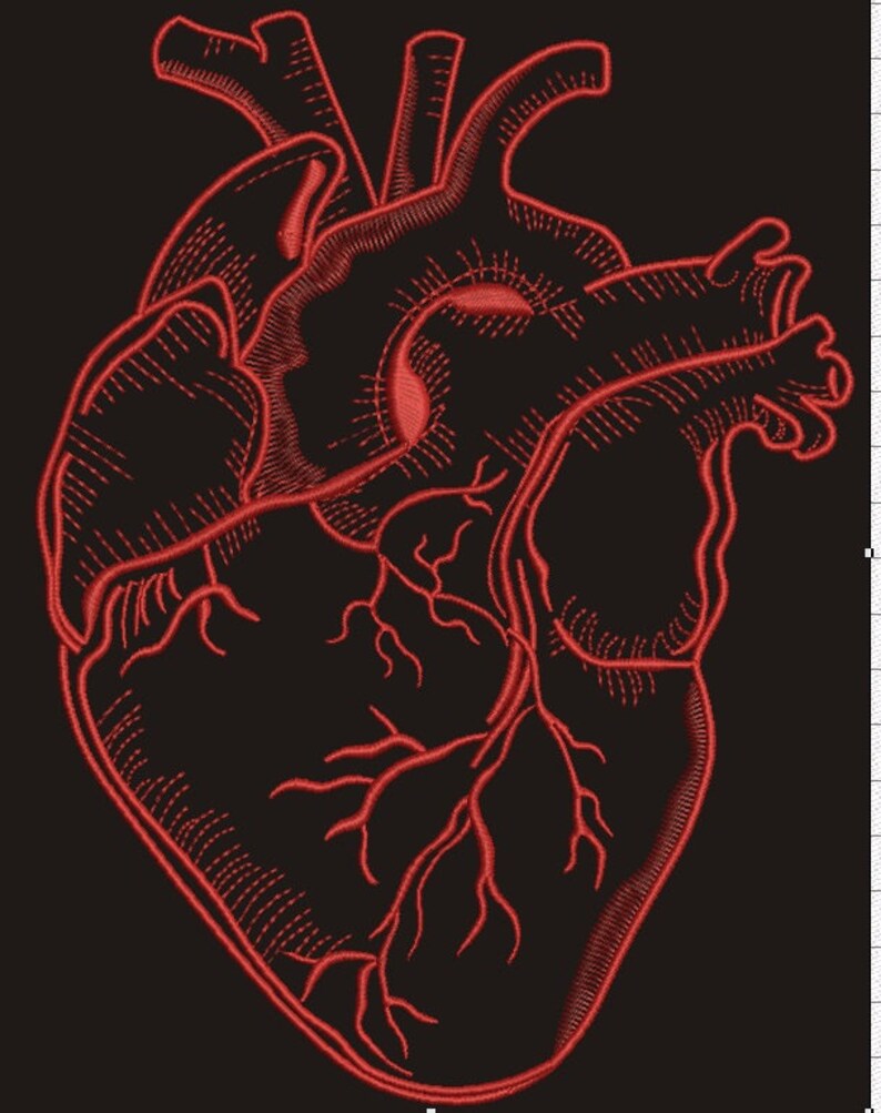 Realistic Human Heart Machine Embroidery Design / Instant | Etsy
