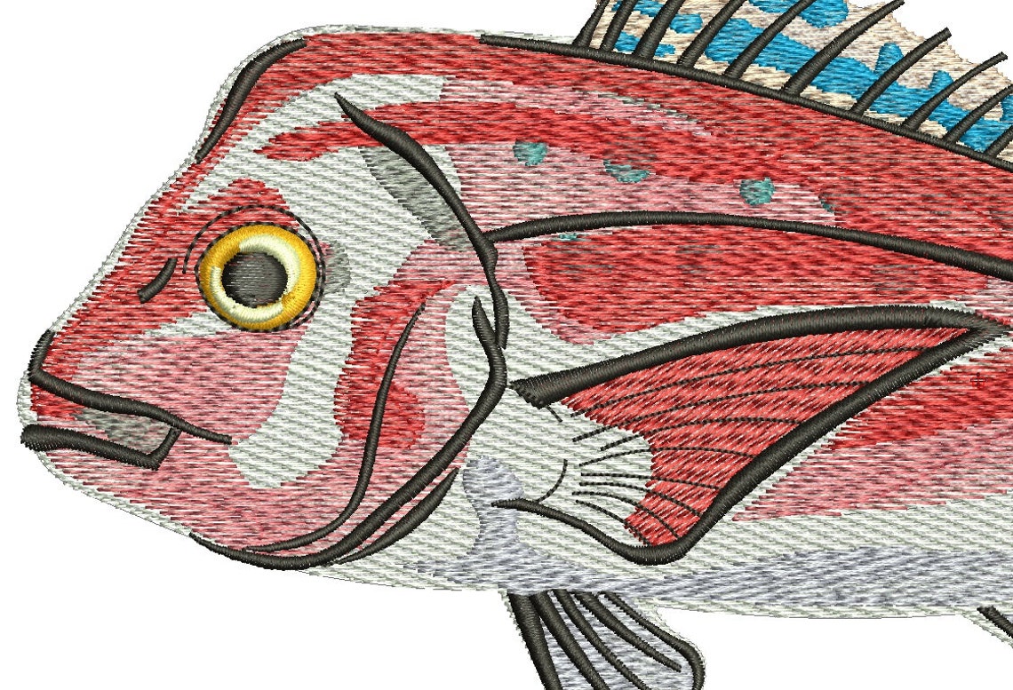 Red Snapper Fish Embroidery Design Instant Download Digital | Etsy
