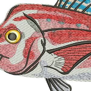 Red Snapper Fish Embroidery Design - Instant Download Digital File ...