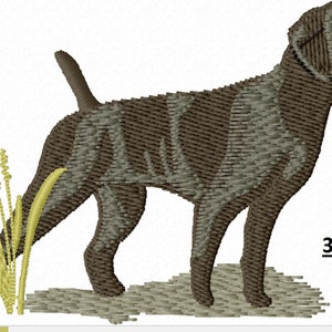 Hunting Dog Machine Embroidery Design / INSTANT DOWNLOAD / - Etsy