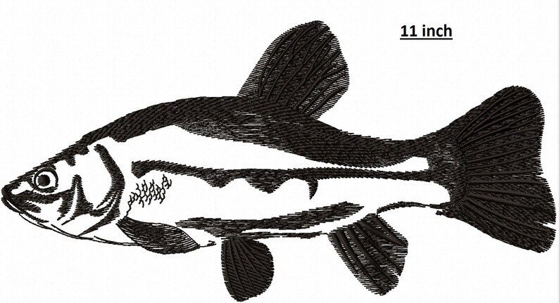 Tench Fish Machine Embroidery Design Instant Download - Etsy