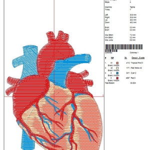 Realistic Human Heart Machine Embroidery Design / Instant Download - Etsy