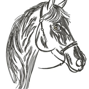 A Horse's Head Machine Embroidery Design - - Etsy