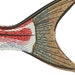 Red Snapper Fish Embroidery Design - Instant Download Digital File ...