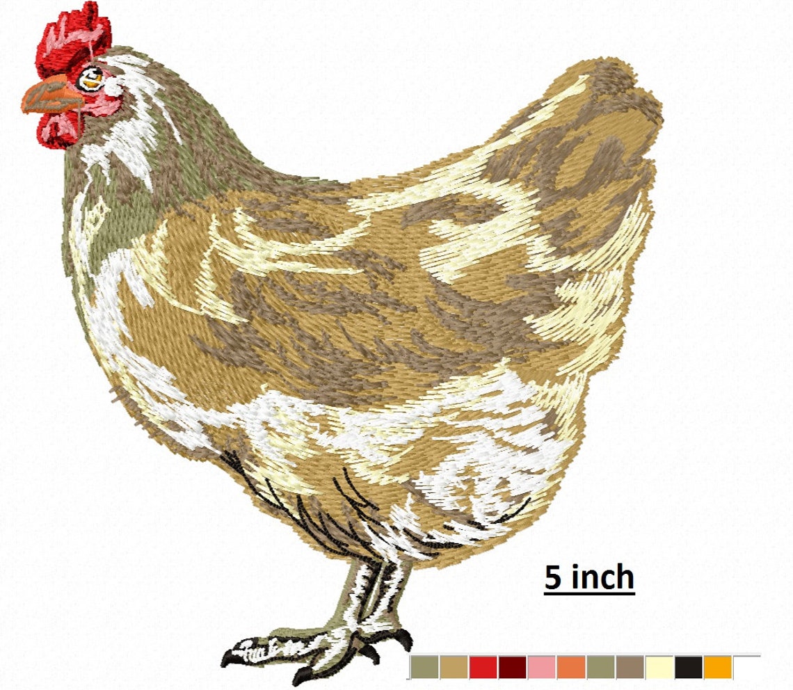 Realistic Chicken Machine Embroidery Design - Etsy