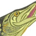 Pike Machine Embroidery Design Instant Download - Etsy