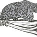 Snow Leopard Machine Embroidery Design - Etsy