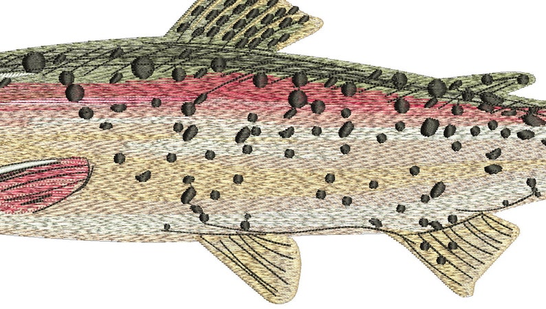 Cutthroat Trout Fisherman Embroidery Design - Etsy