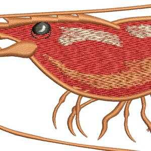 Realistic Shrimp Machine Embroidery Design - Etsy