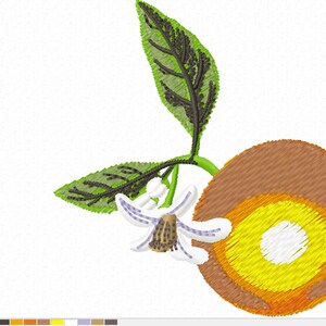 Orange Embroidery - Machine Embroidery Design - Etsy